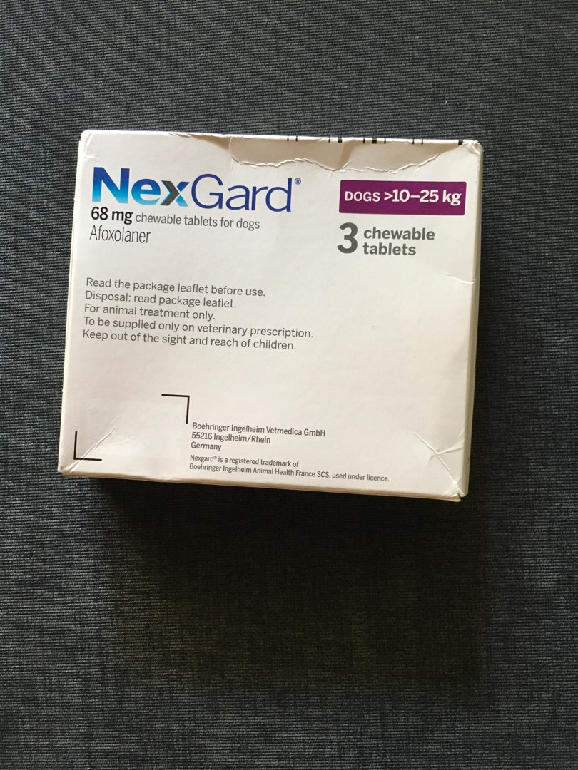 Nexgard chewable tablet for dogs 10-25kg violet, Pet Supplies, Health ...