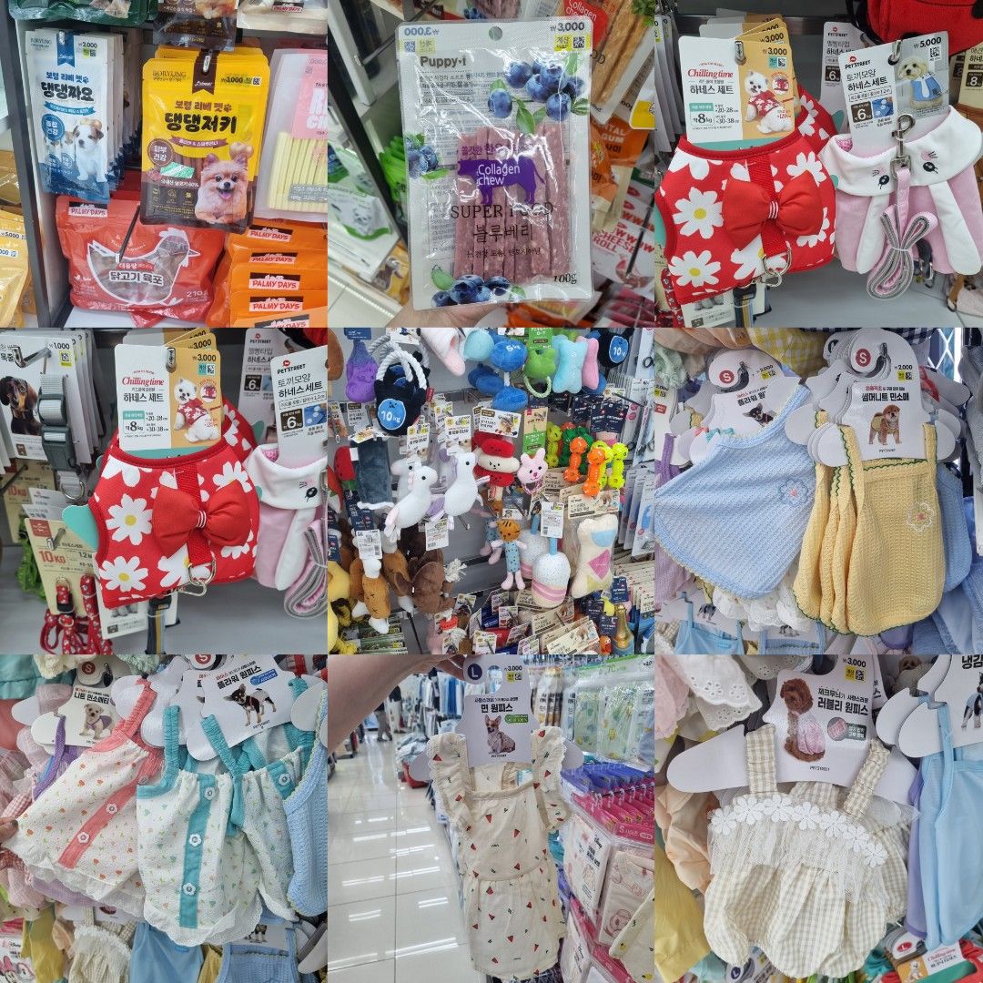 Daiso Korea Cute Items (PREORDER), Hobbies & Toys, Memorabilia ...