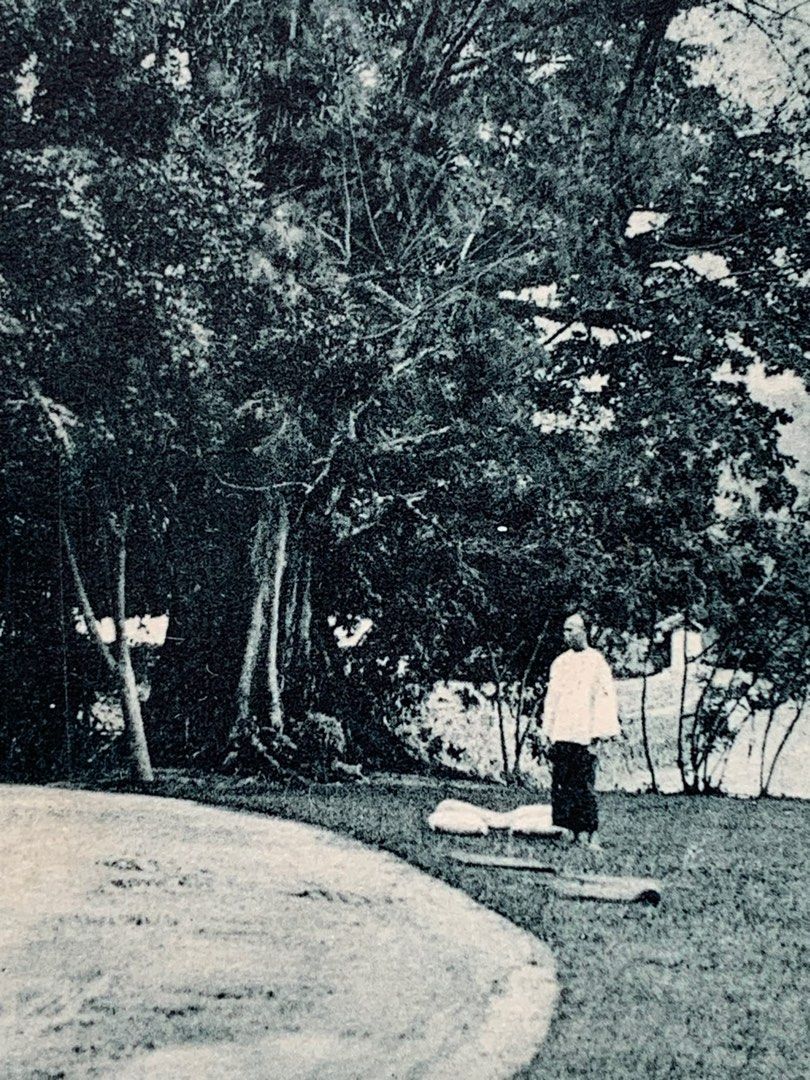 PENANG Gardens Chinese Man 1904 Postcard, Hobbies & Toys, Collectibles ...