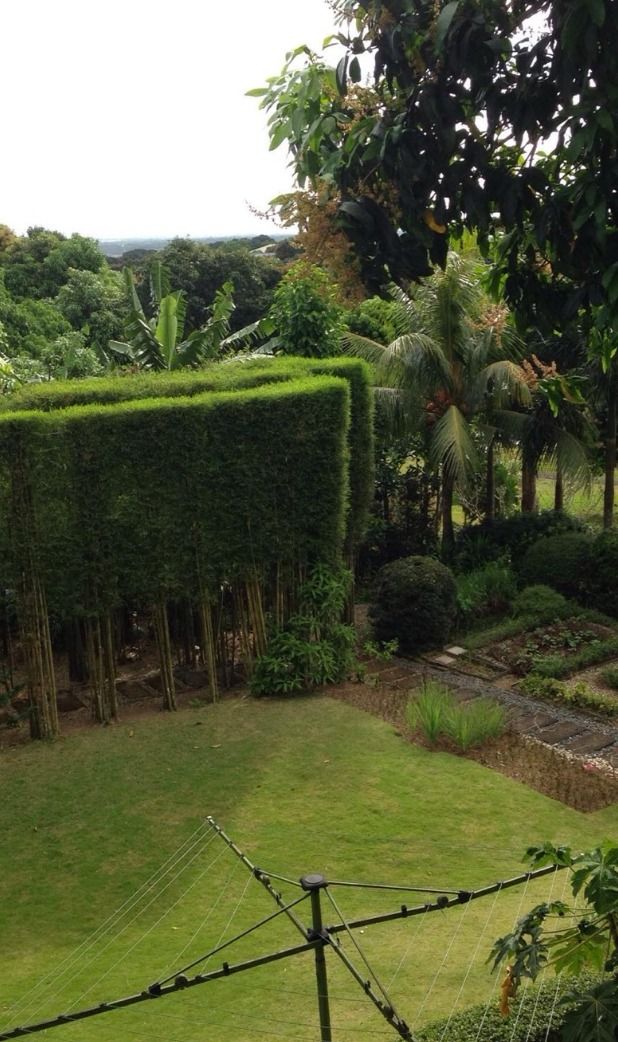 Westgrove Pili Street beside Central Park Lagoon, Property, Rentals ...