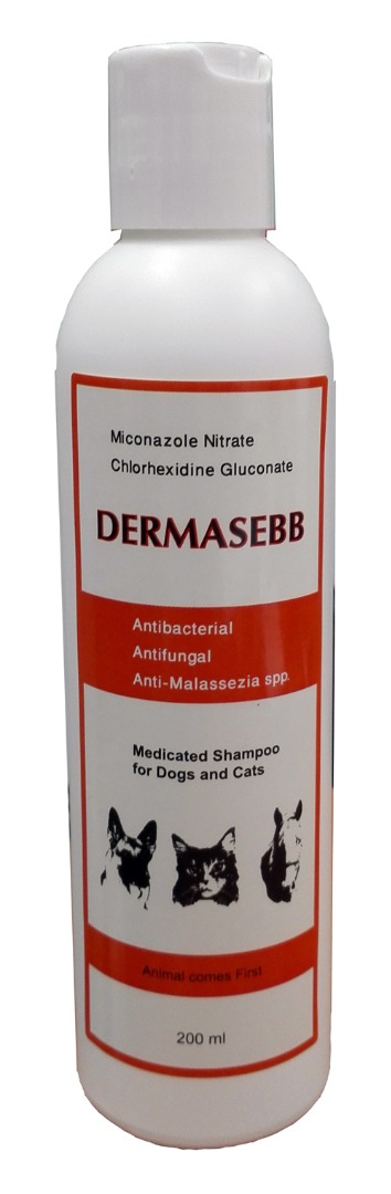 Dermasebb Shampoo (Pets Anti Fungal) 200ml, Pet Supplies, Health ...