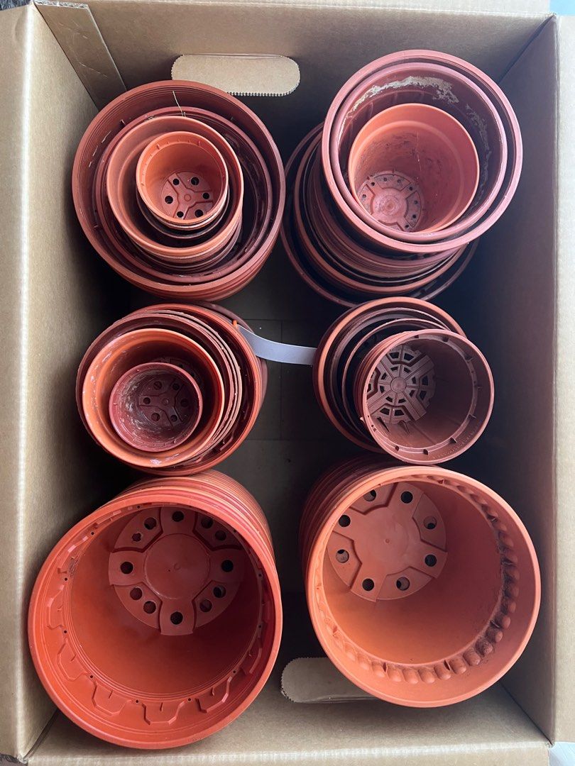 Nursery plant pots (ard 80pcs), Furniture & Home Living, Gardening ...