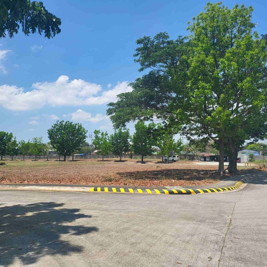 Elevated Corner Lot For Sale In Manila Southwoods Near The Manila ...
