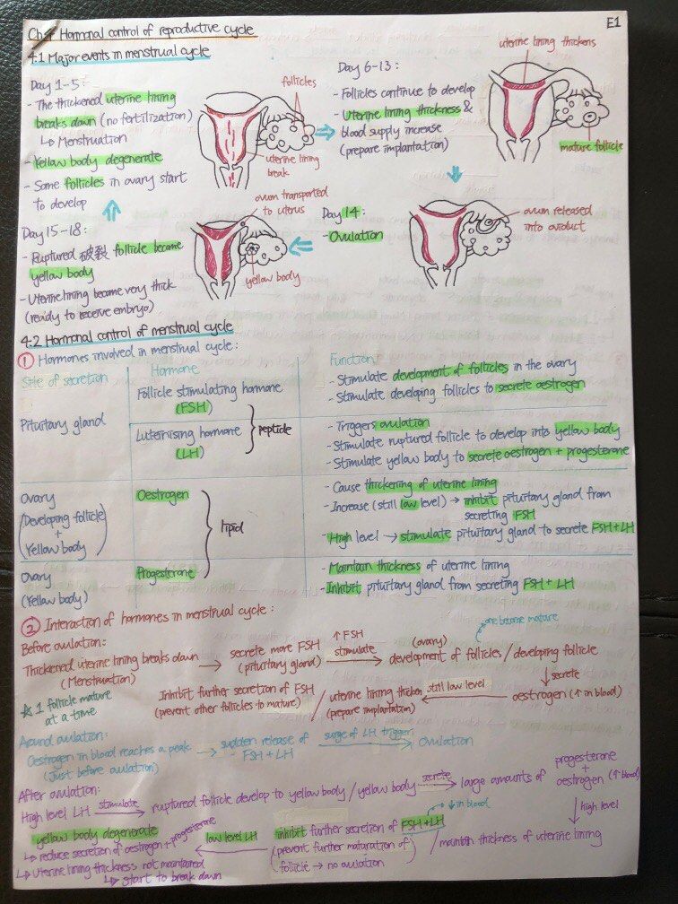 Dse biology elective 1 手寫筆記 ch.4 Hormonal control of reproductive cycle ...