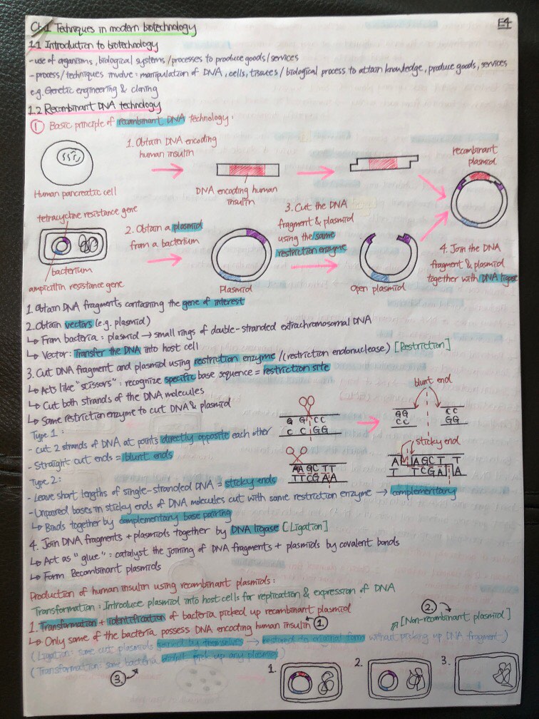Dse biology elective 4 手寫筆記 ch.1 Techniques in modern biotechnology, 興趣 ...