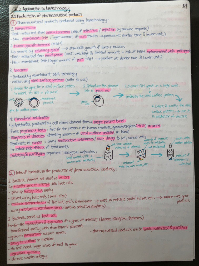 Dse biology elective 4 手寫筆記 ch.2 Application in biotechnology, 興趣及遊戲 ...