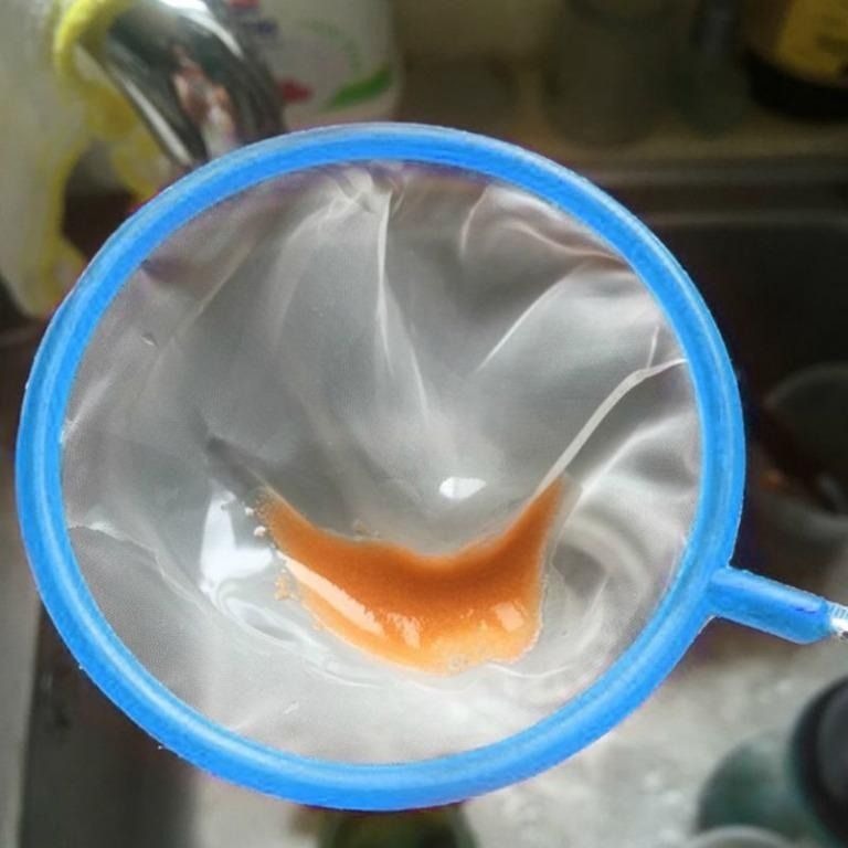 Fish Net Artemia Filter Shrimp Mini, Pet Supplies, Homes & Other Pet ...