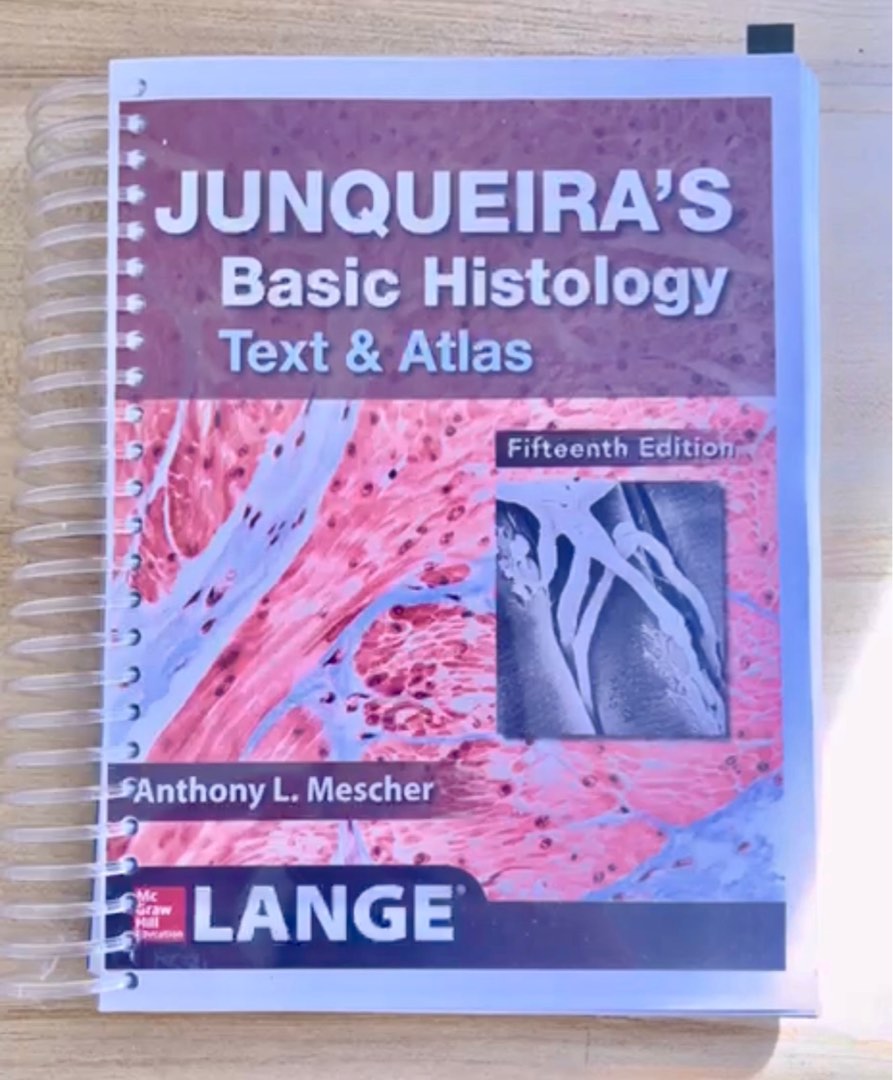 Junquiera Basic Histology - Medical Textbook, Hobbies & Toys, Books ...