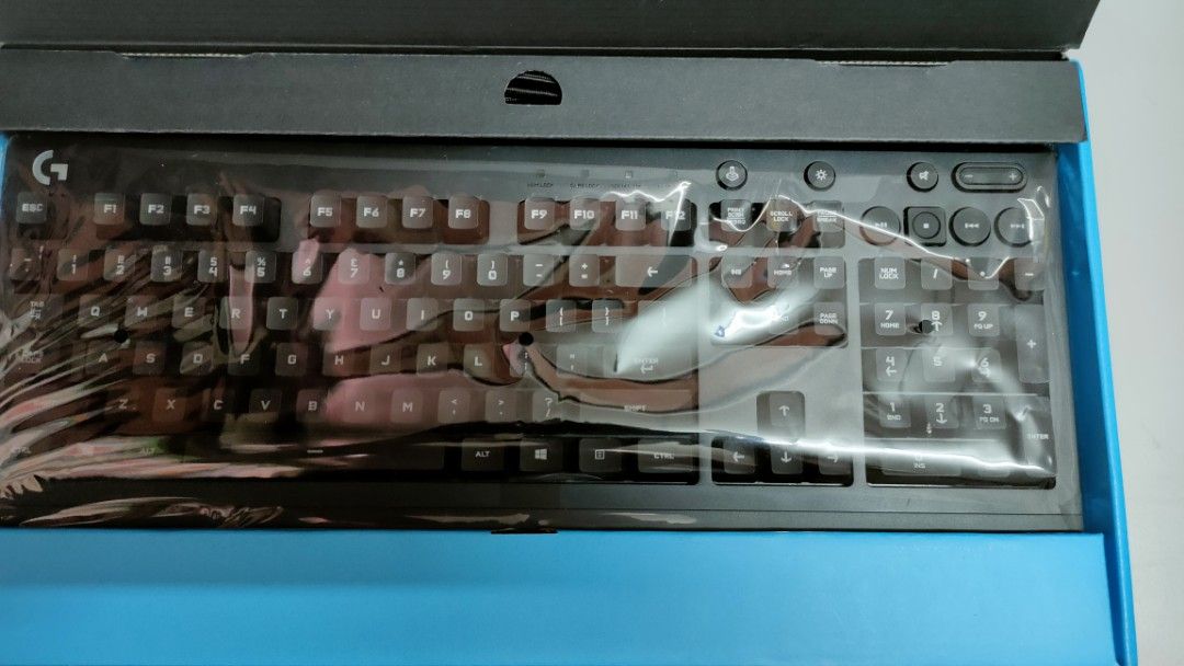 Logitech G213 Prodigy Keyboard, Computers & Tech, Parts & Accessories ...