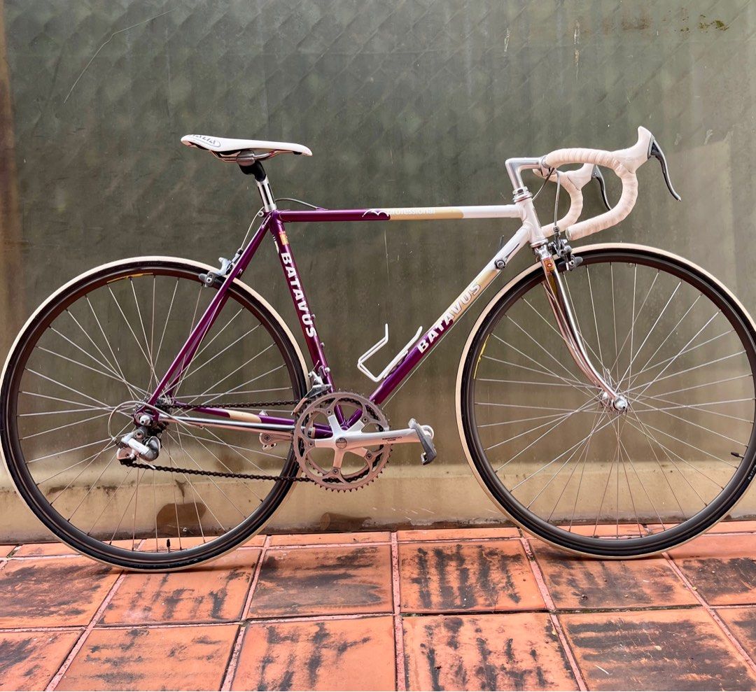 Batavus Professional 1994, Sports Equipment, Bicycles & Parts, Bicycles ...