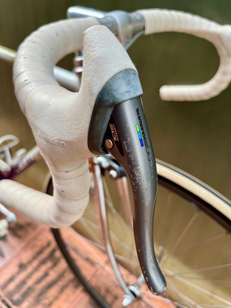 Batavus Professional 1994, Sports Equipment, Bicycles & Parts, Bicycles ...