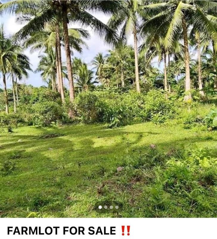 For Sale Coco Farm 14 hectares and 4 hectares good for residential ...