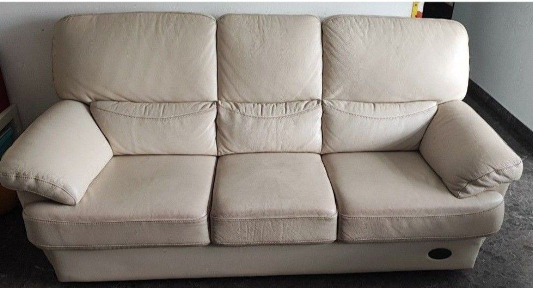 Seahorse sofa store