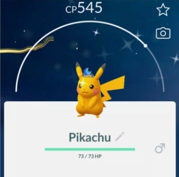 SHINY PIKACHU MOON CROWN Pokemon Go Fest Sendai, Video Gaming, Video ...
