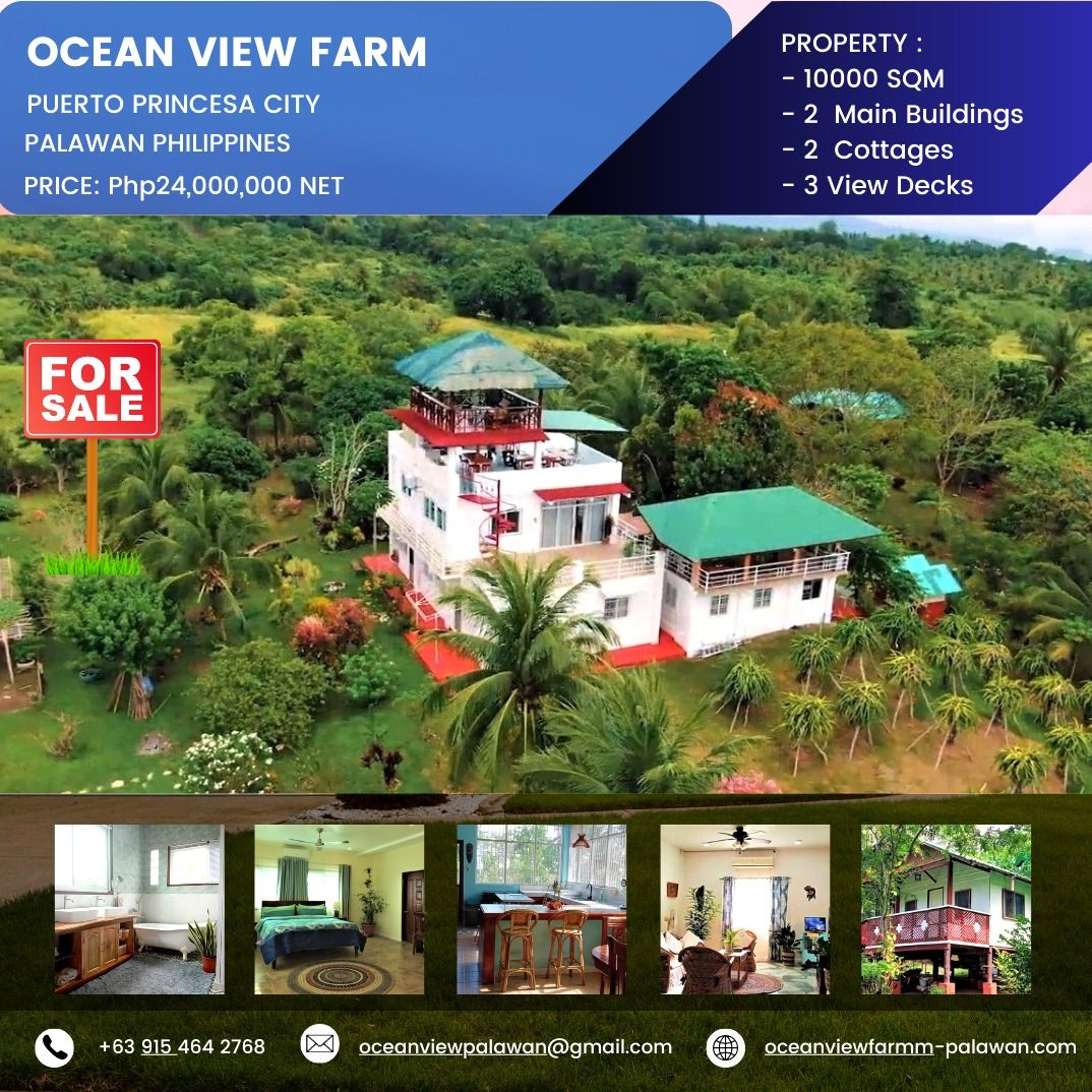 Ocean View Farm on Palawan's Spectacular Coastline!, Property, For Sale ...