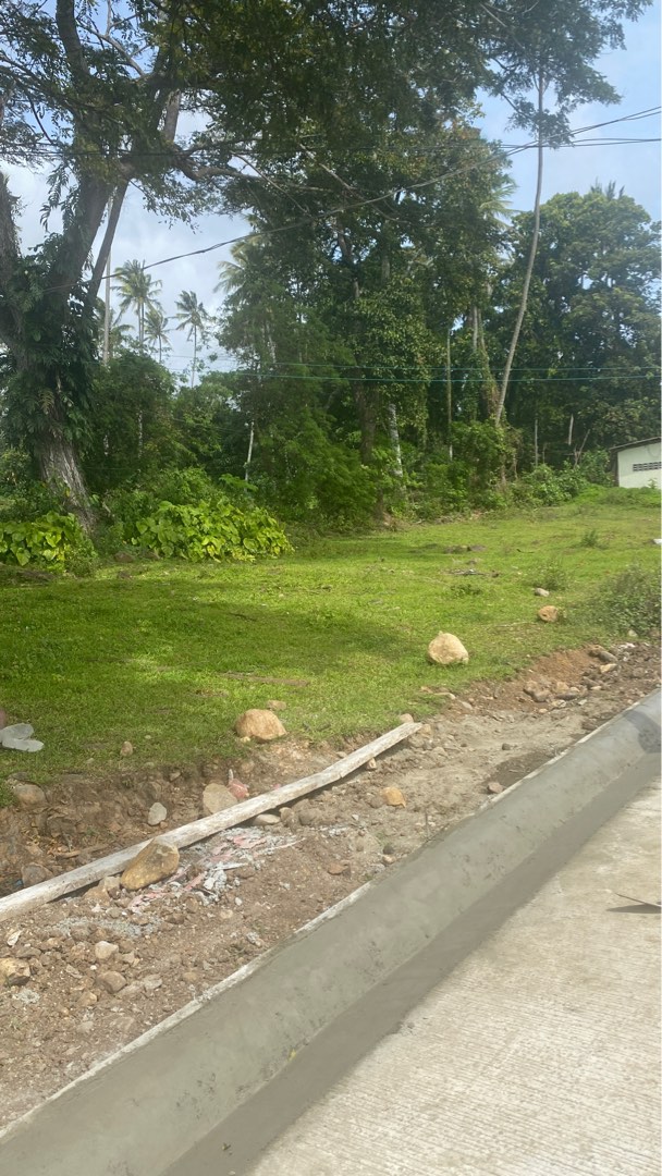 150 sqm Lot for sale (pasalo), Property, For Sale, Lot on Carousell