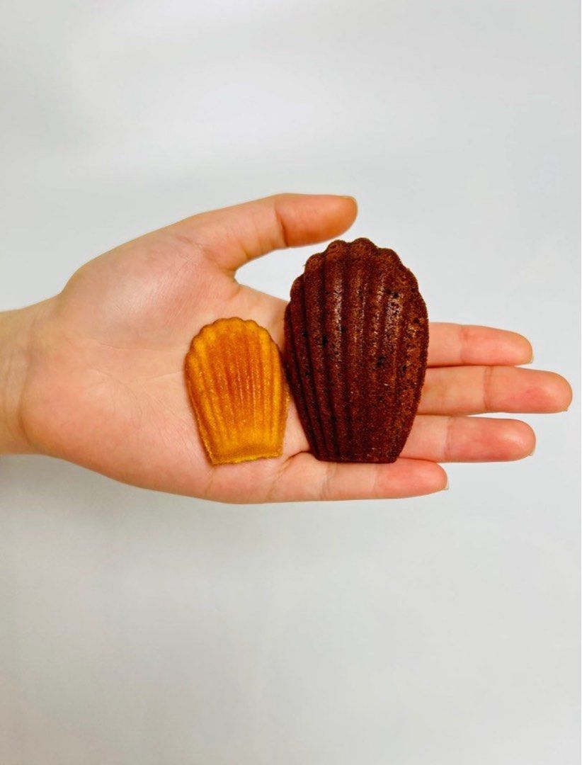 松永製作所 正版日本製 迷你貝殼款 千代田 x 富澤 Chiyoda x Tomiz Made in Japan 日本製 松永製作所 可愛模具 有 黑色MB天板 金/銀天板 8連模 最貴最高級 ...