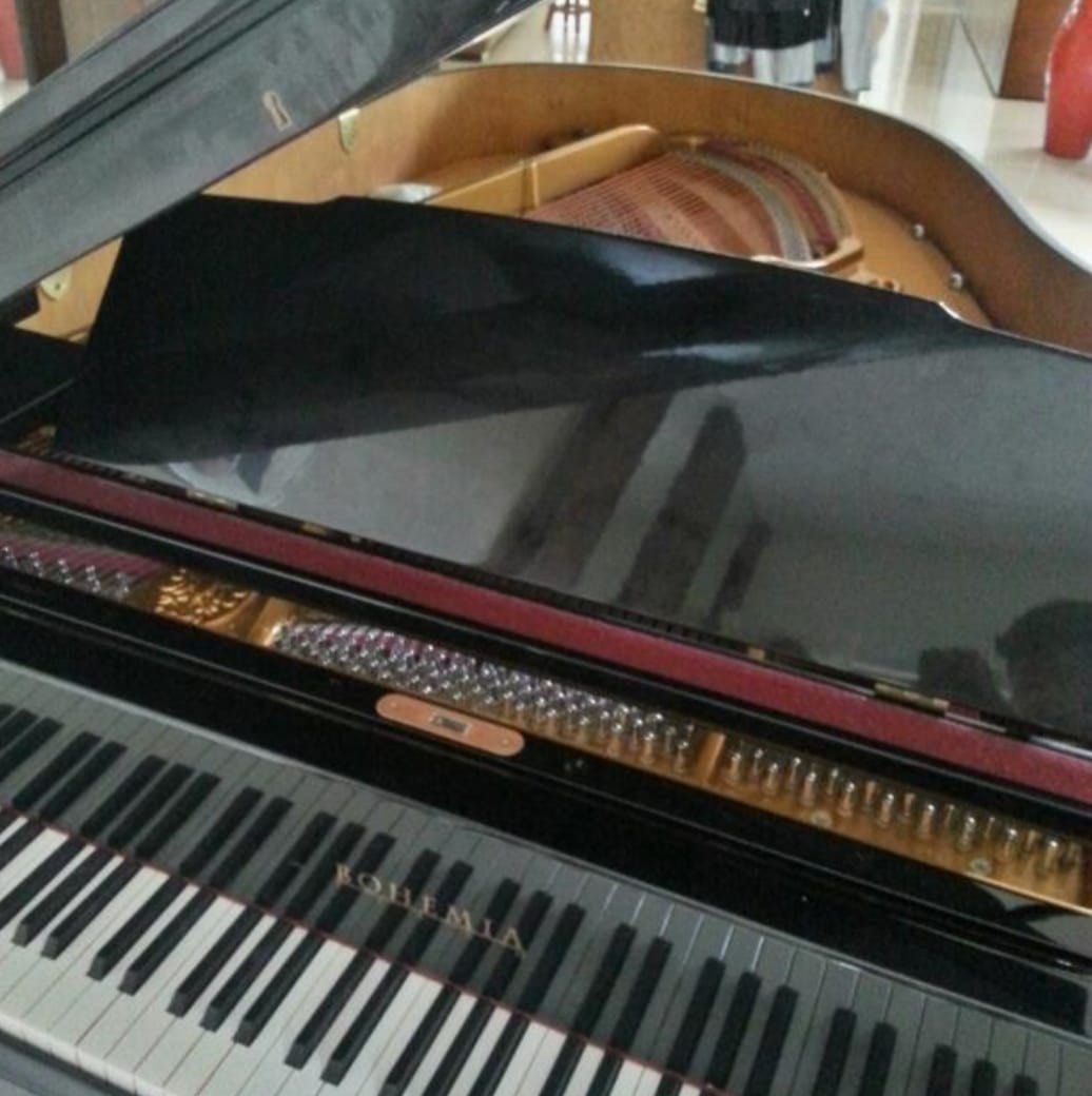 Bohemia Grand Piano, Hobbies & Toys, Music & Media, Musical Instruments ...