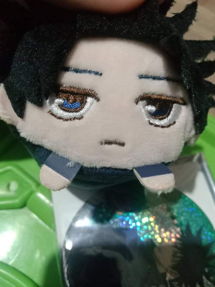 Jujutsu Kaisen JJK plushies set Mochikororin Megumi & Toge, Hobbies ...