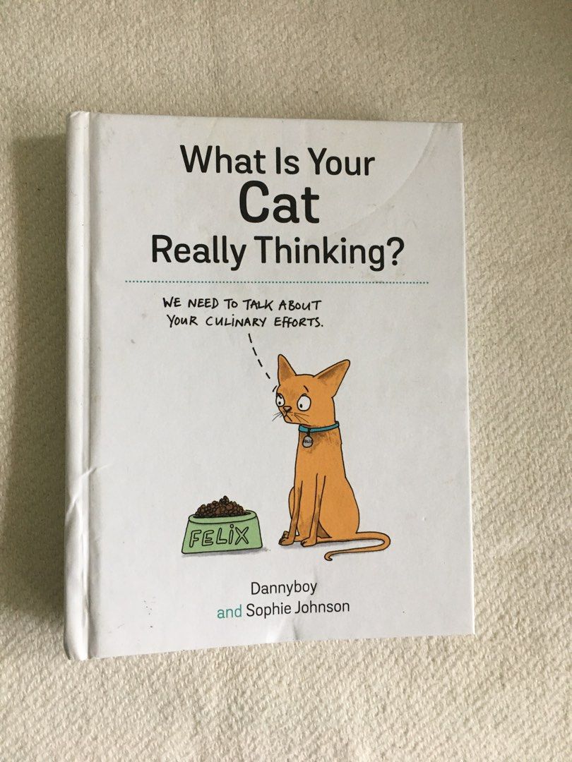 What your cat is thinking, Hobbies & Toys, Books & Magazines ...