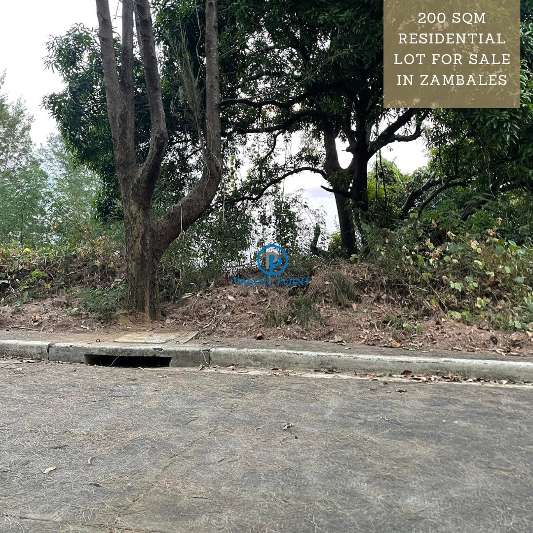 200 sqm Residential Lot for sale in Zambales, Property, For Sale, Lot ...