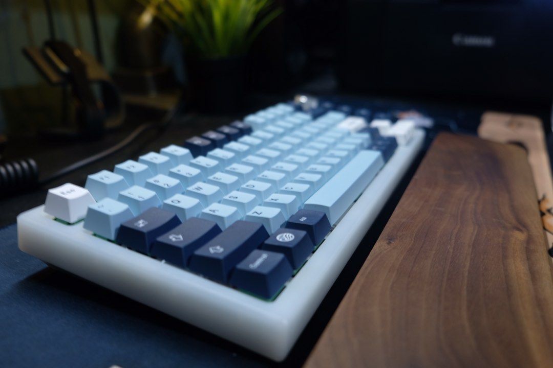 75% Custom Mechanical Keyboard (Fully modded), Computers & Tech, Parts ...