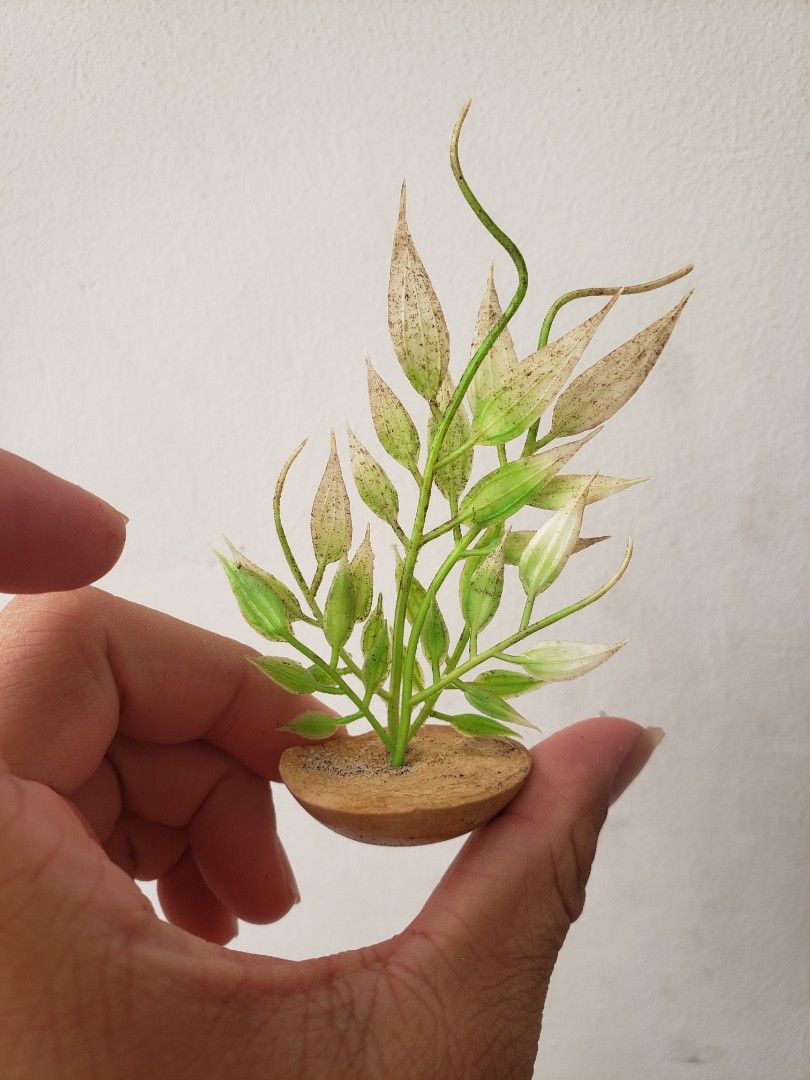 BUNGA PLASTIK PLASTIC FLOWER ORANGE ORENS AQUASCAPE AKUASKAPE AKUASCAPE ...