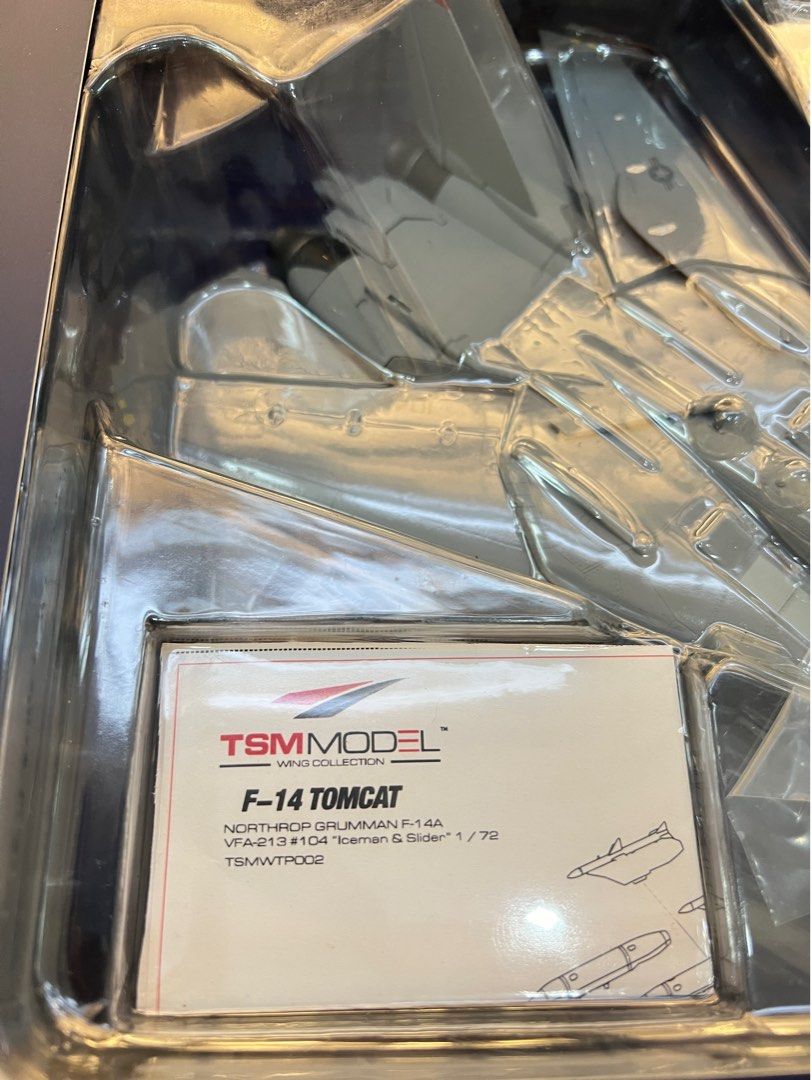捍衛戰士 TSM Model Top Gun 1:72 F-14 戰機, 書籍、休閒與玩具, 玩具、公仔、桌遊在旋轉拍賣