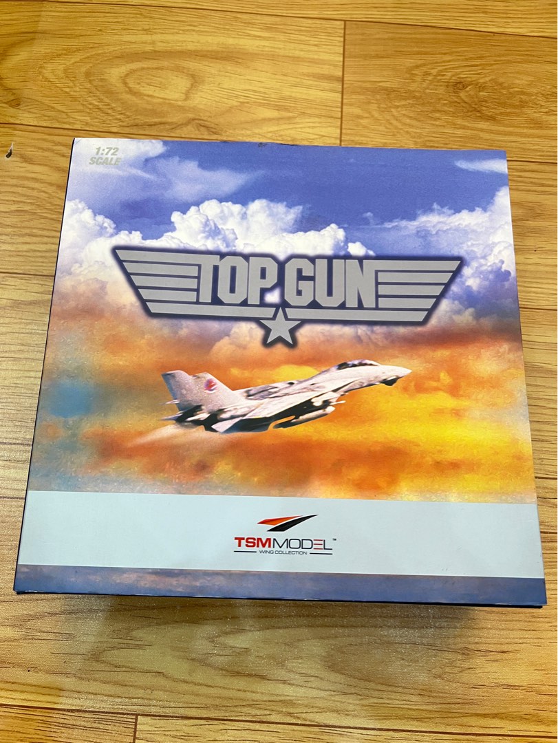 捍衛戰士 TSM Model Top Gun 1:72 F-14 戰機, 書籍、休閒與玩具, 玩具、公仔、桌遊在旋轉拍賣