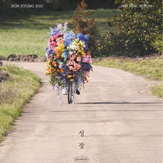 instock exo d.o blossom sealed album, Hobbies & Toys, Memorabilia & Collectibles, K-Wave on ...