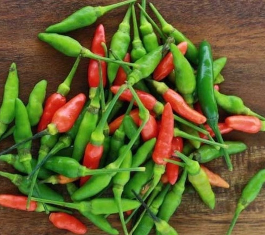 20pcs Biji Benih Cili Api Kampung / Cabai Burung, Furniture & Home ...
