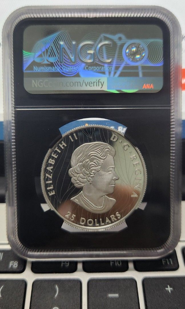 2020 - Extra Ordinary High Relief Pure Silver Coin - Canadian Bald ...