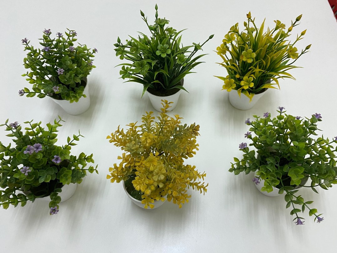Small Plastic Plants deco, Furniture & Home Living, Home Decor ...