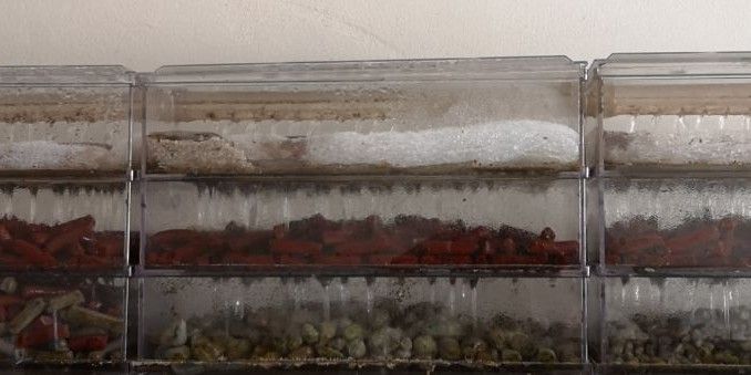 4ft Ohf With Dymax Pump Ph 1800, Pet Supplies, Homes & Other Pet ...