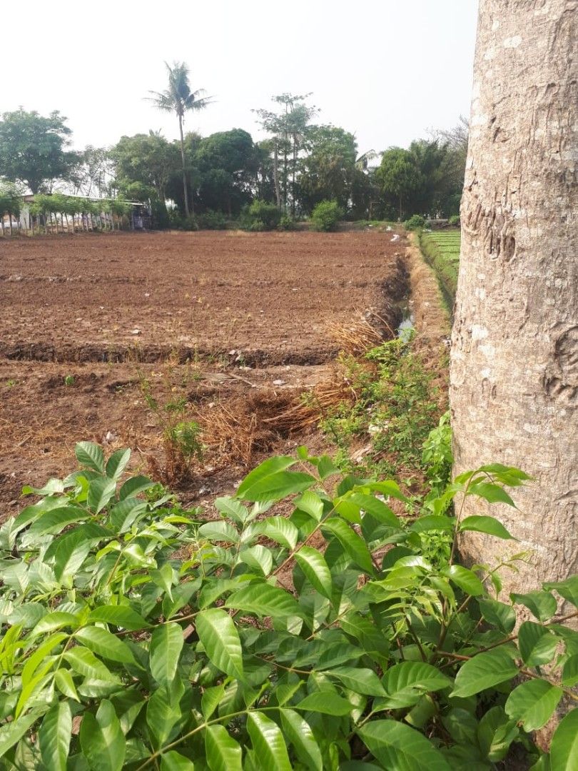 Dijual Sebidang tanah kosong, Properti, Dijual di Carousell