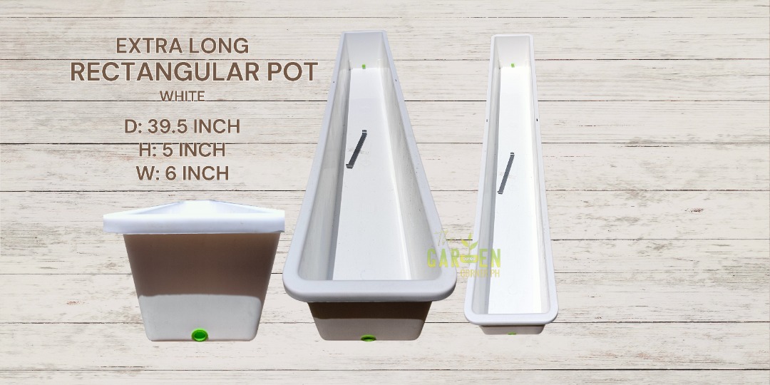 EXTRALONG Rectangular Plastic Pot White (D: 39.5" H: 5" W: 6") Best for ...