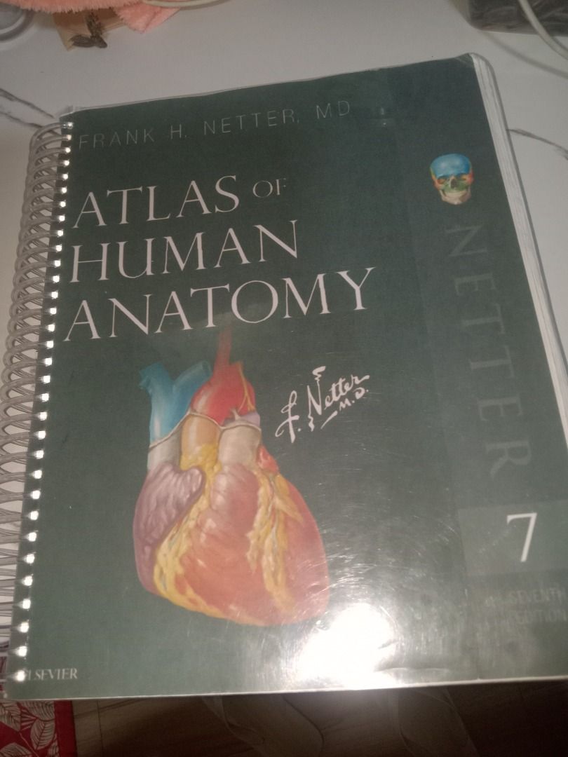 Netter's Atlas of Human Anatomy 7th ed, Hobbies & Toys, Books ...