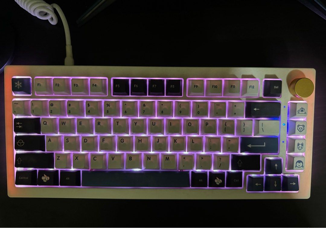 (PRICE NEGOTIABLE) USED AKKO 5075 RGB TKL Custom Keyboard with AKKO ...