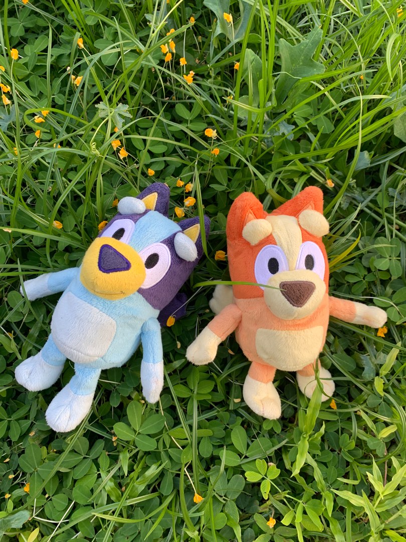 Bluey and Bingo soft plush, Hobbies & Toys, Toys & Games on Carousell