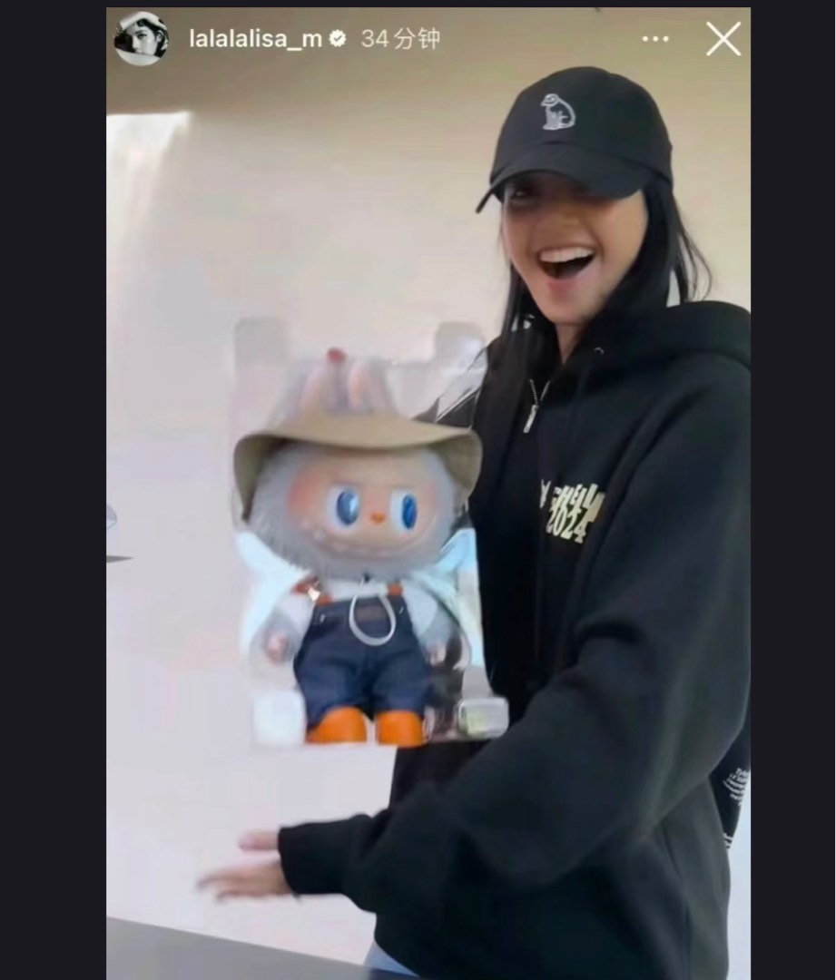 the monster labubu fall in wild vinyl BIG Lisa Popmart, Hobbies & Toys ...