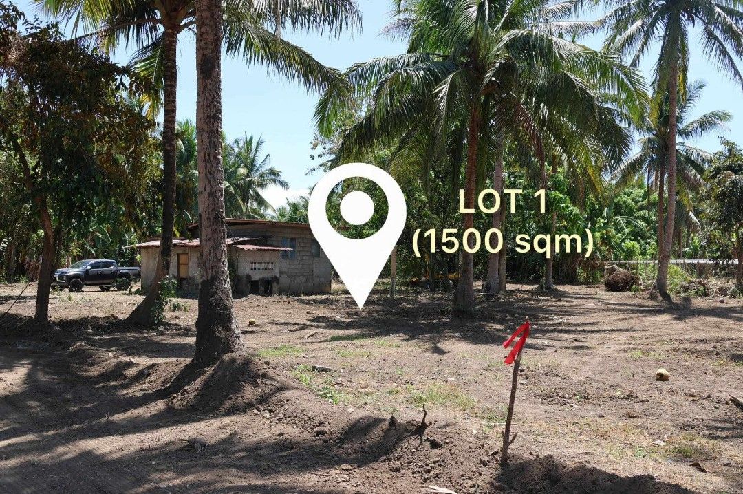 Farm Lot Installment For Sale Sariaya Quezon, Philippines, Property ...