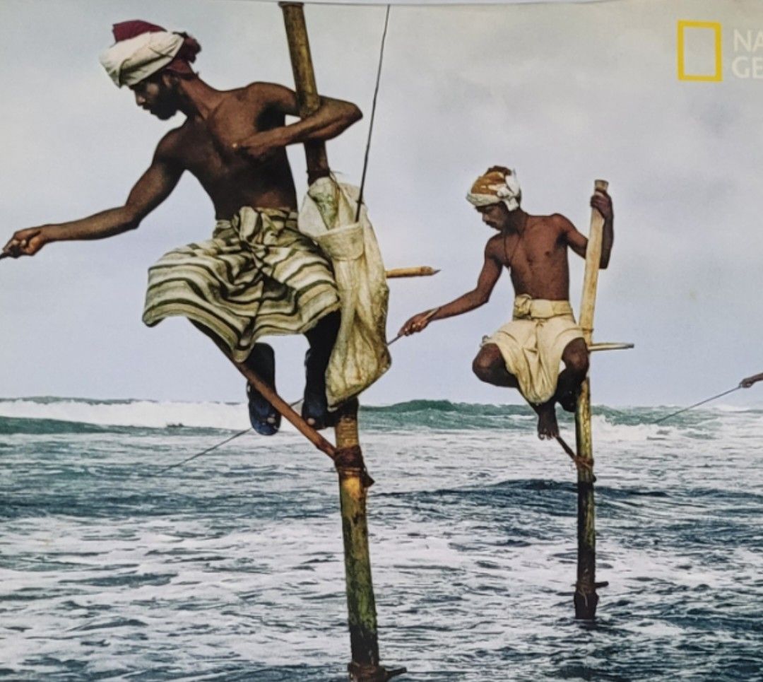 Work: The World in Photographs, Hobbies & Toys, Books & Magazines ...