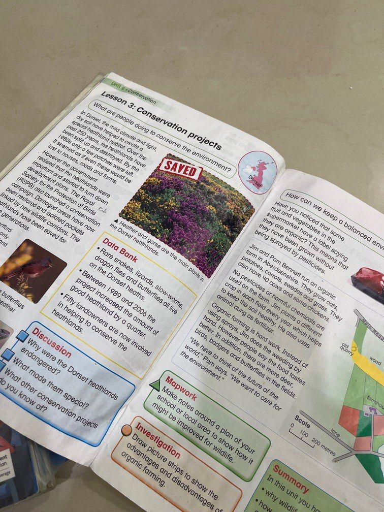 Collins Primary Geography Pupil Book 6, Hobbies & Toys, Books ...