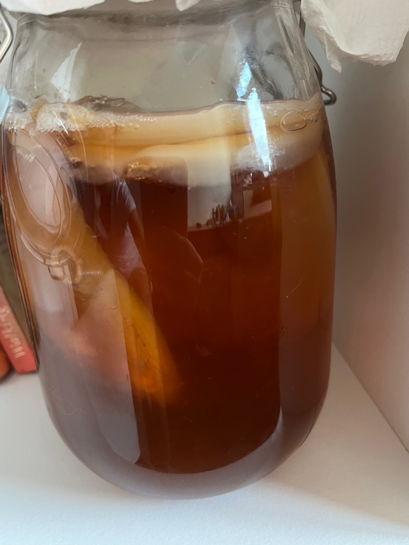 Kombucha Scoby, Food & Drinks, Other Food & Drinks on Carousell