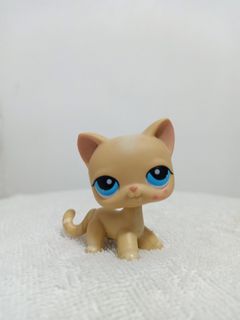 lps shorthair - View all lps shorthair ads in Carousell Philippines