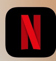 NETFLIX PREMIUM ACCOUNT SHARING, Announcements on Carousell