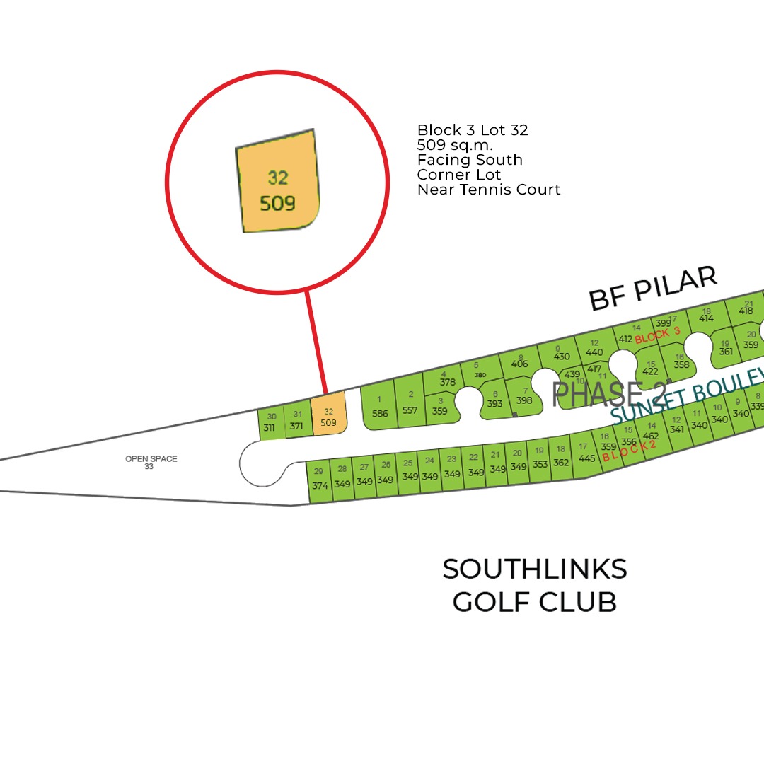 Rare Big Cut Lot in Alabang West For Sale Near Alabang Versailles ...