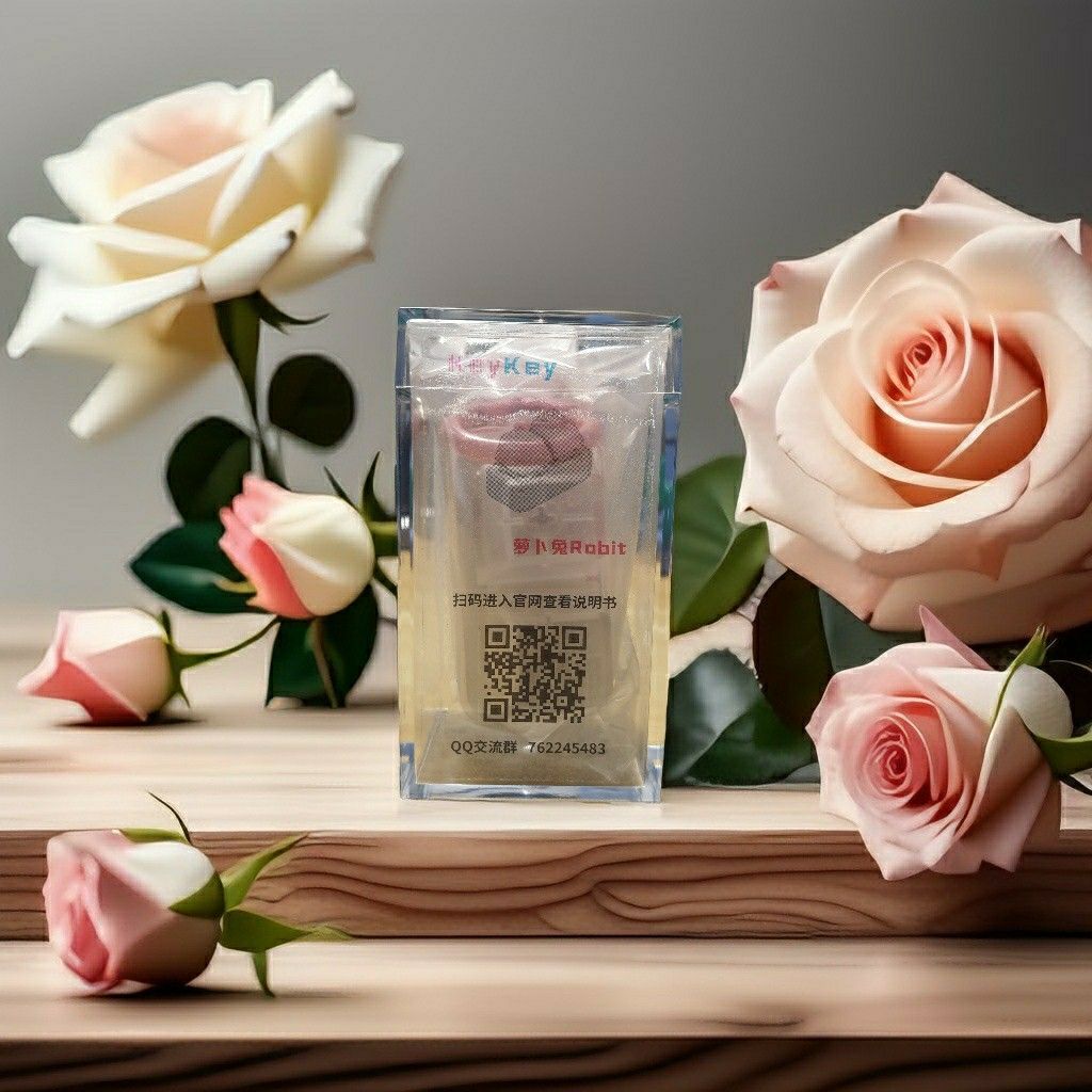 蘿蔔兔Robit KeyKey 翻頁器 電子書閱讀器 文石BOOX、掌閱、HyRead, 手機及配件, 電子周邊配件及產品, 其他電子周邊配件及產品在旋轉拍賣