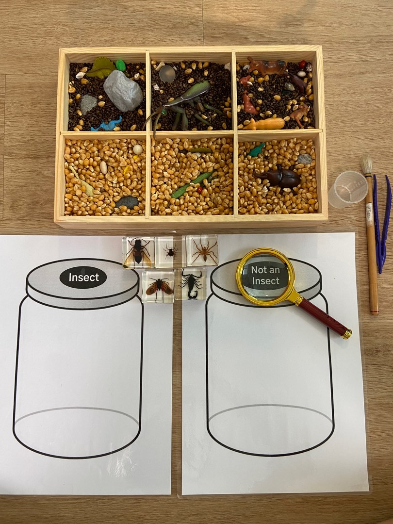 Sensory play and bin with treasures cum is it an insect learning kit ...