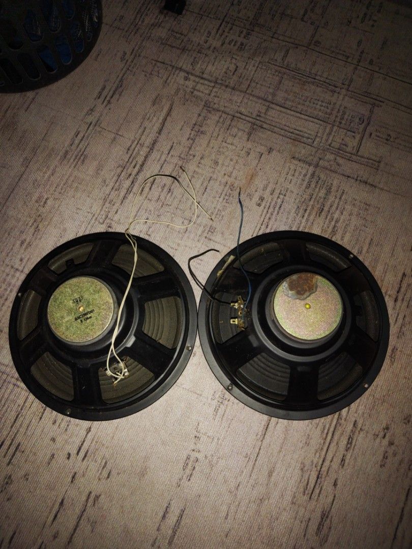 Vintage speaker 10 inch, Audio, Soundbars, Speakers & Amplifiers on ...